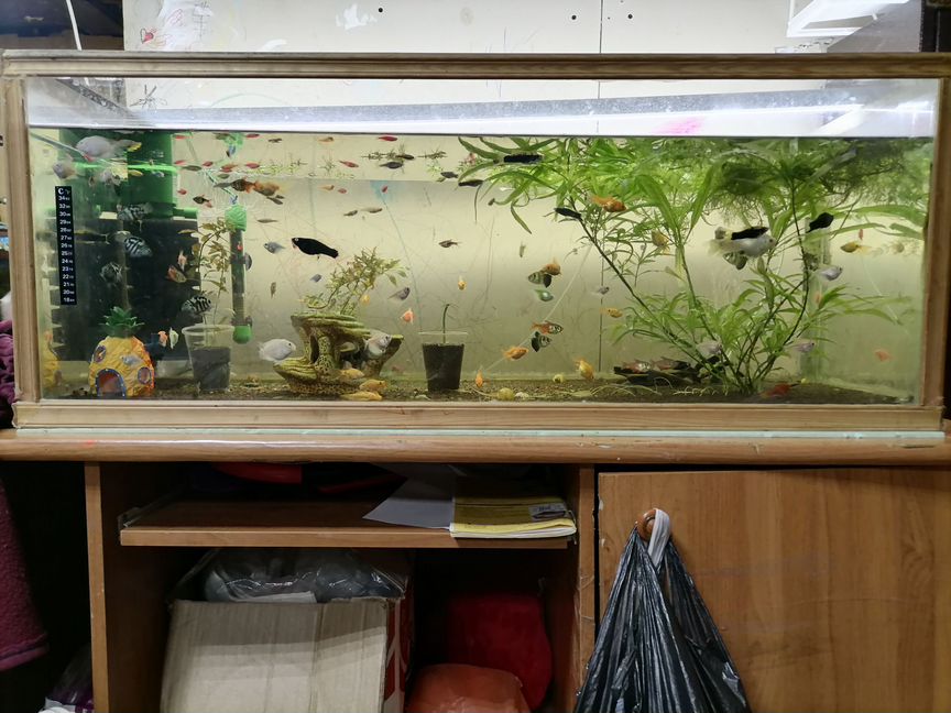 Аквариум с тумбой jebo