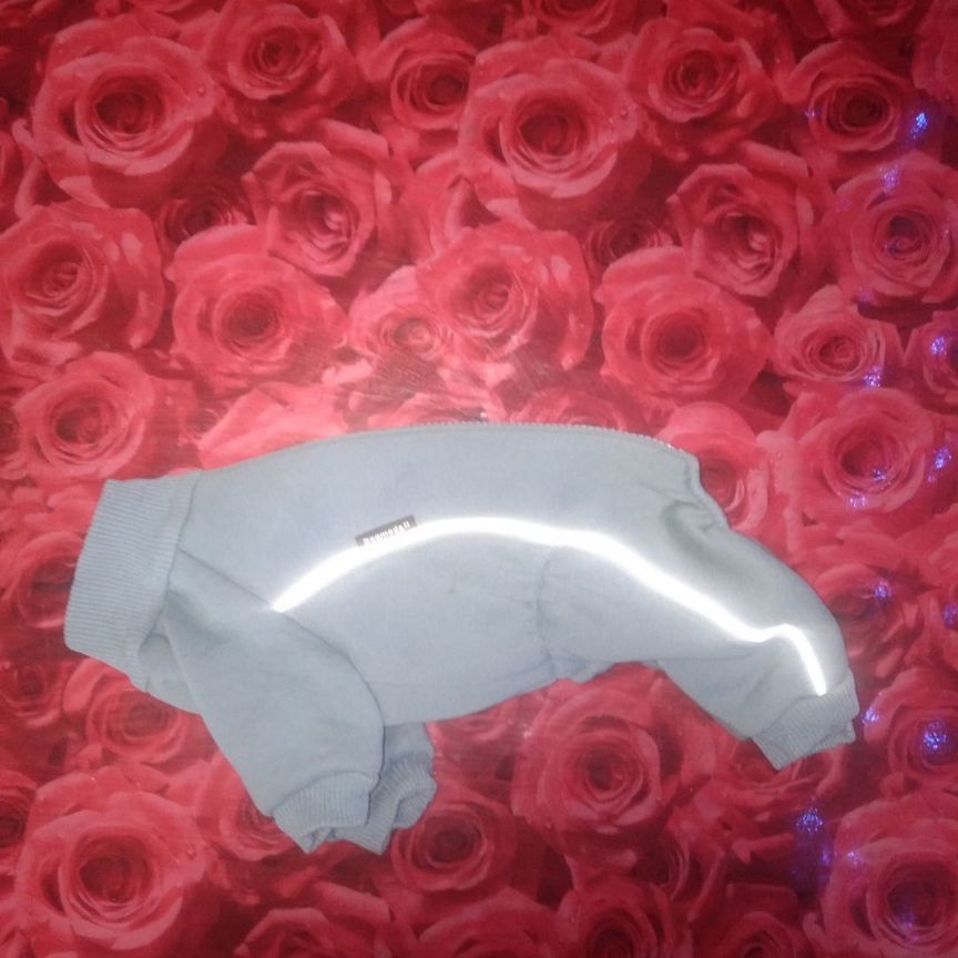 Продам вещи для собаки