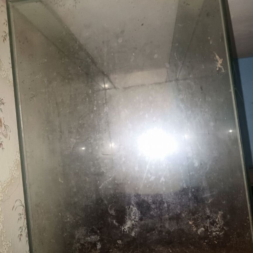 Аквариум(террариум)