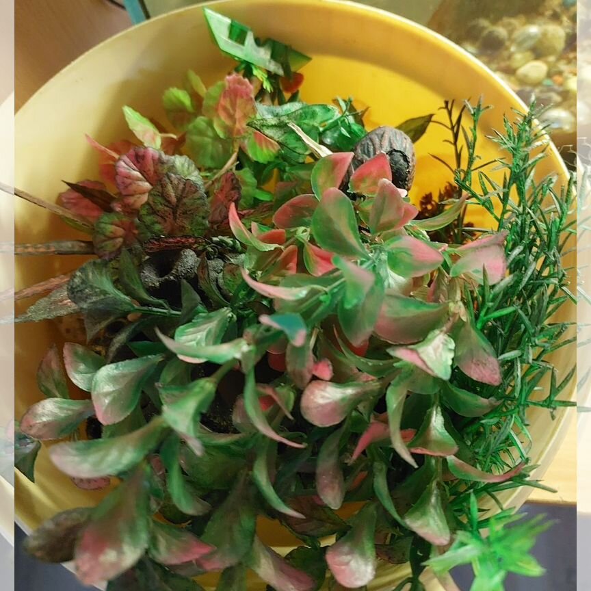 Продам аквариум с рыбками,Талнах