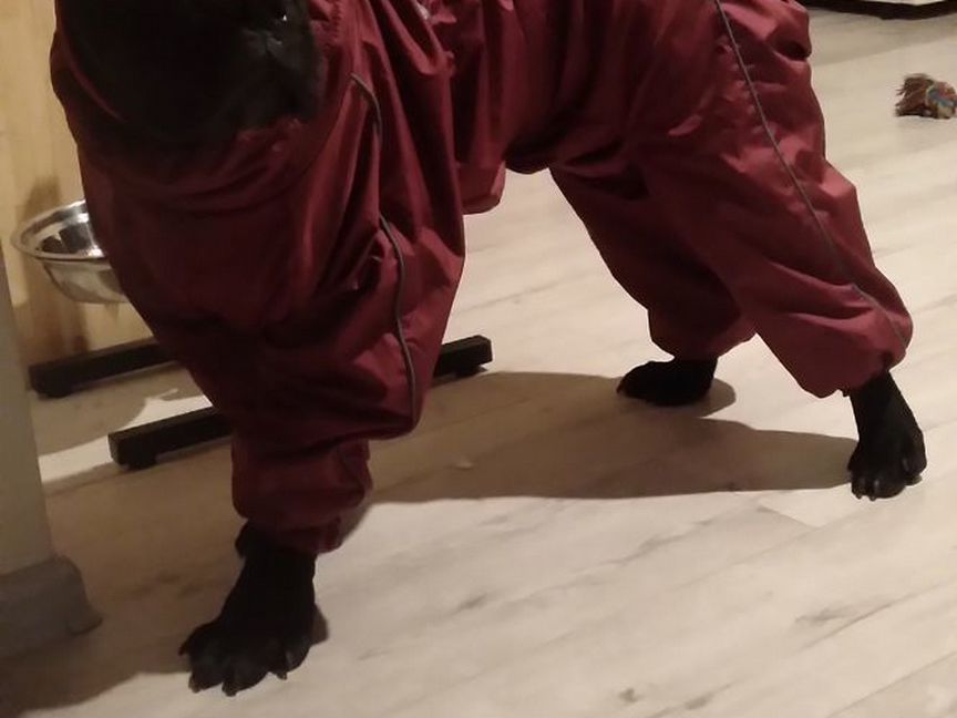 Комбинезон утепленный