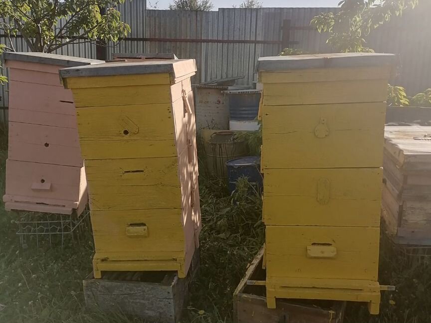 Улей для пчел бу