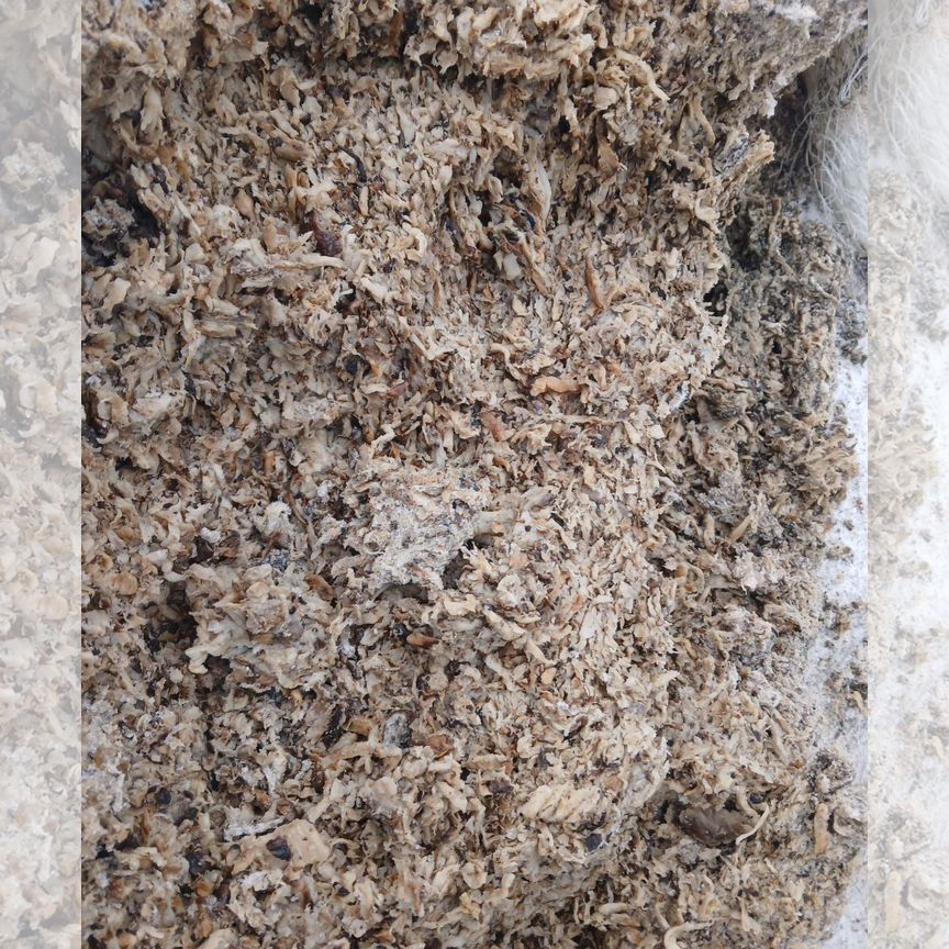 Жом свекловичный стружка