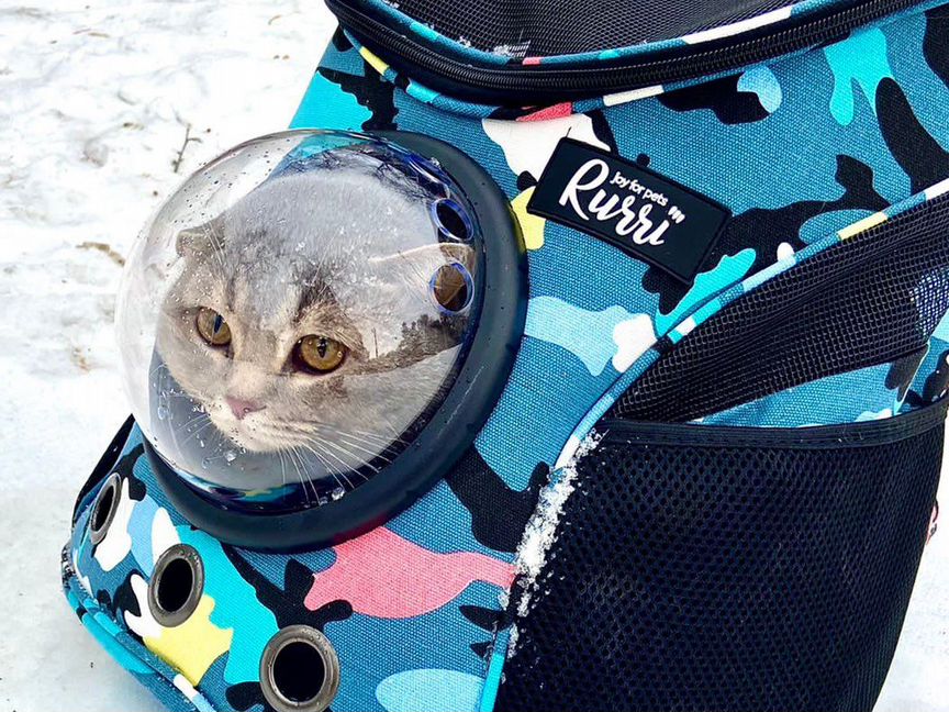 Абсолютно новый рюкзак-переноска с окошком