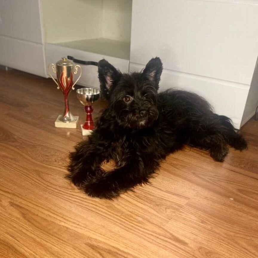 Отличный мальчик