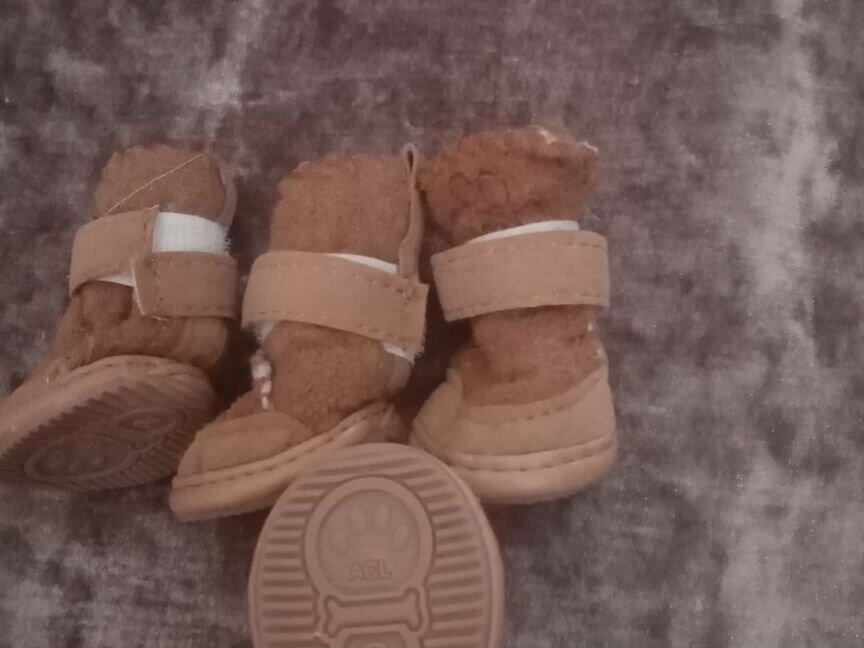 Продам сапожки для маленькой собачки