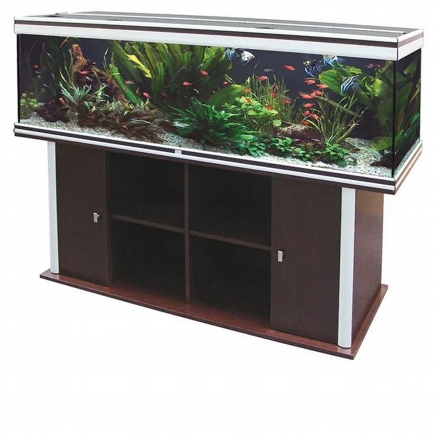 Аквариум с рыбками