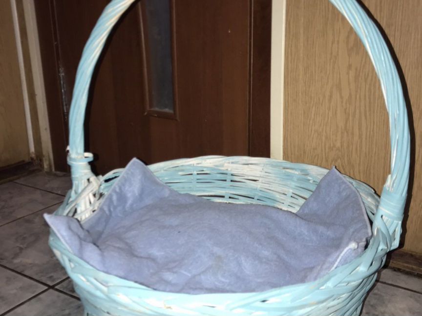 Корзина для животных