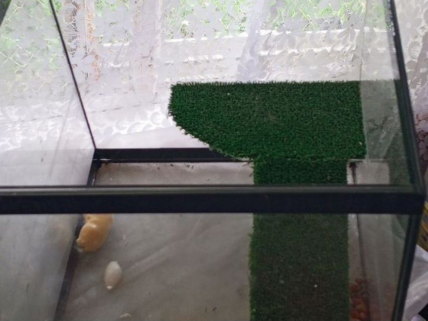 Аквариум для черепашки