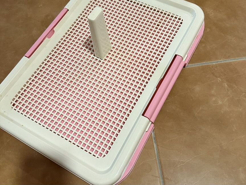 Лоток доя собак и кошек