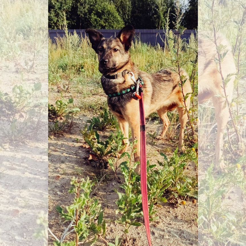 Малышка красавица Лея