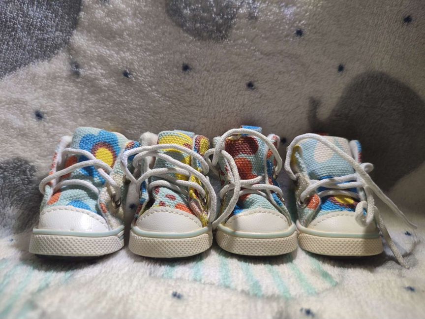 Пинетки кеды для собаки 1ый размер