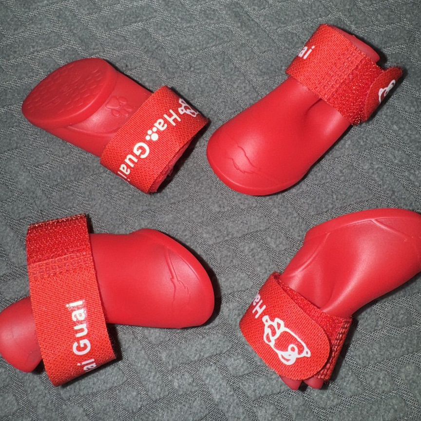 Обувь для маленьких собак