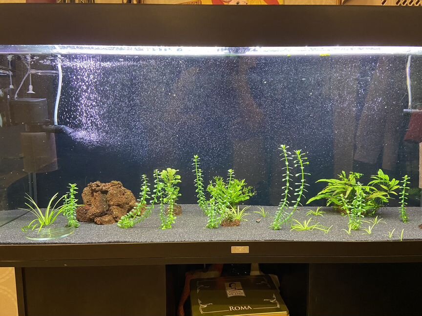 Аквариум Juwel Rio 240 + ориг.тумба