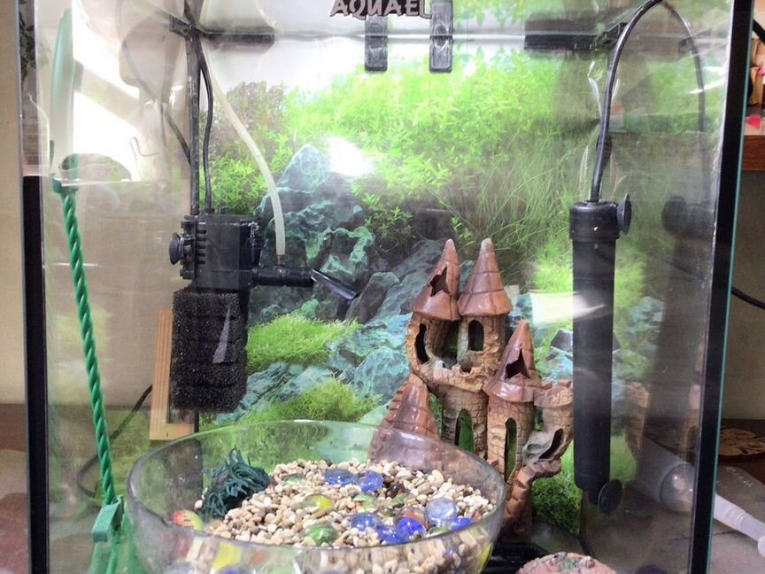 Aquael shrim SET 30 leddy аквариумный набор