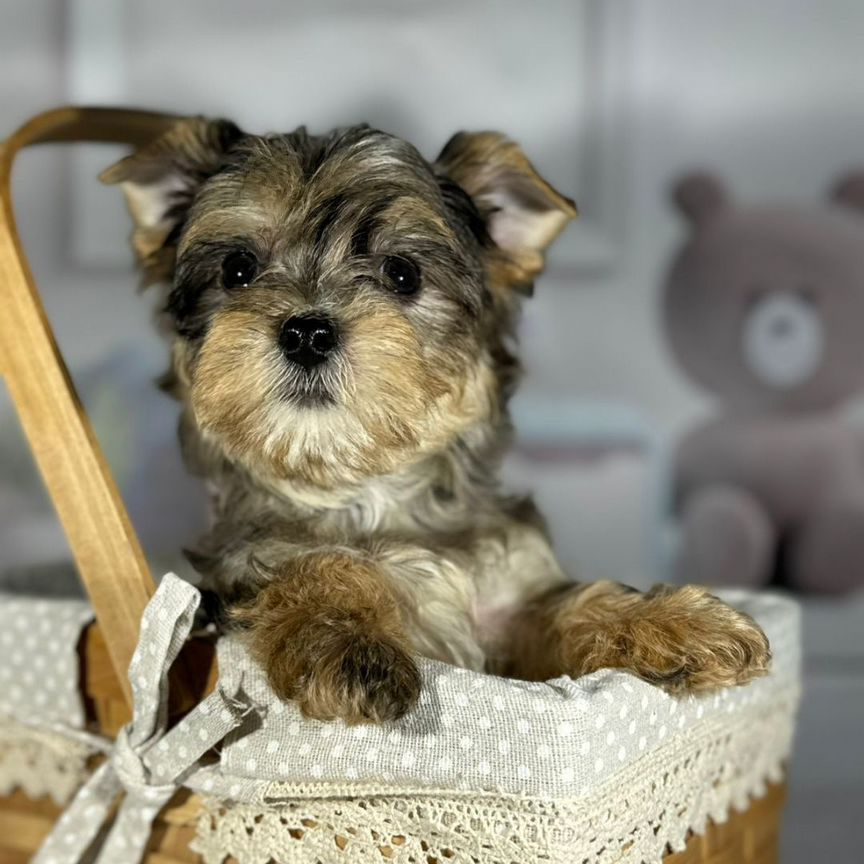 Мраморный парнишка