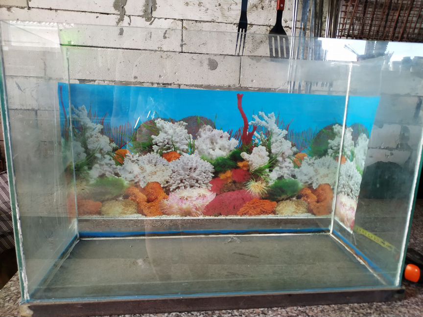 Аквариум 55л и комплектующие