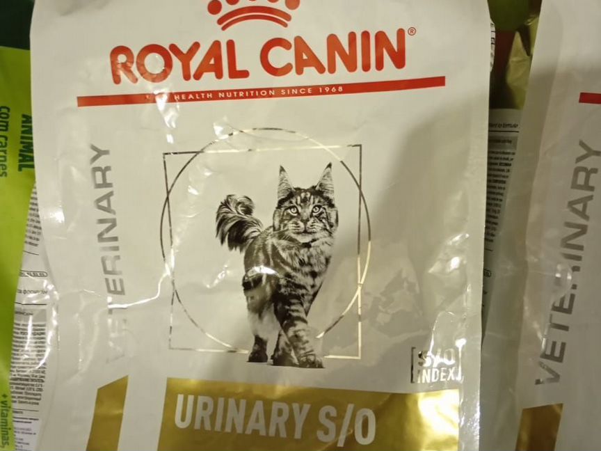 Корм royal caninдля кошек