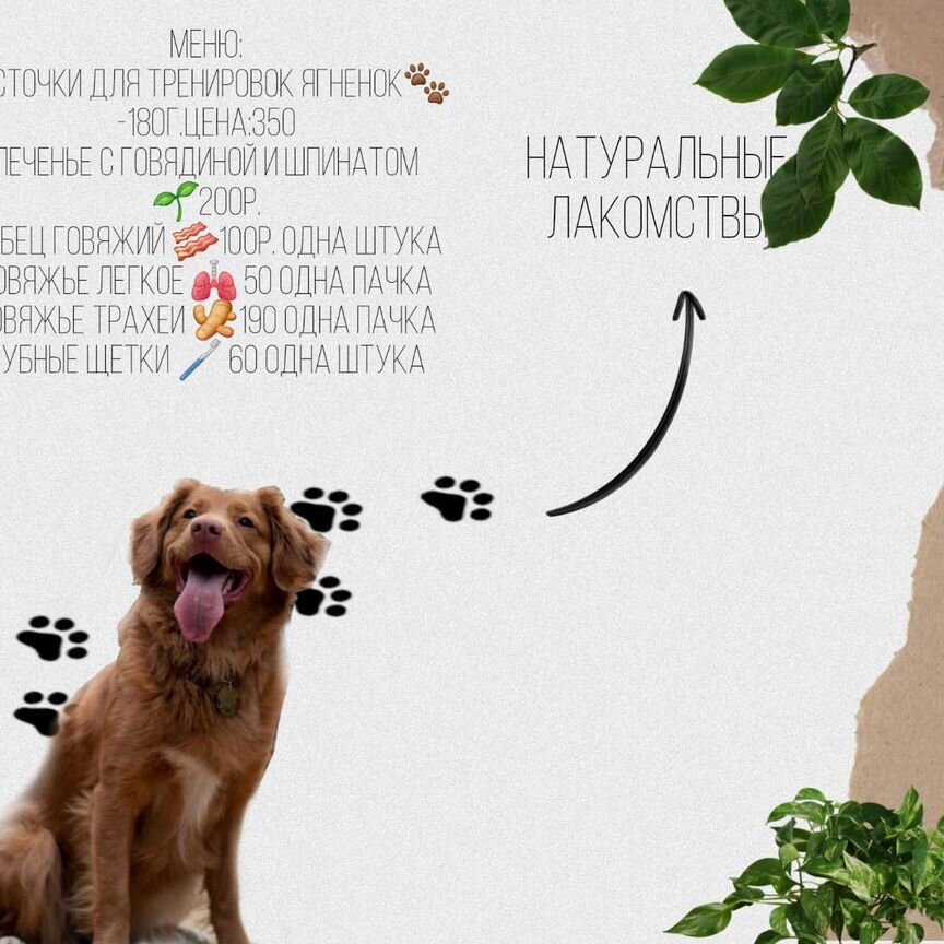 Вкусняшки для собак