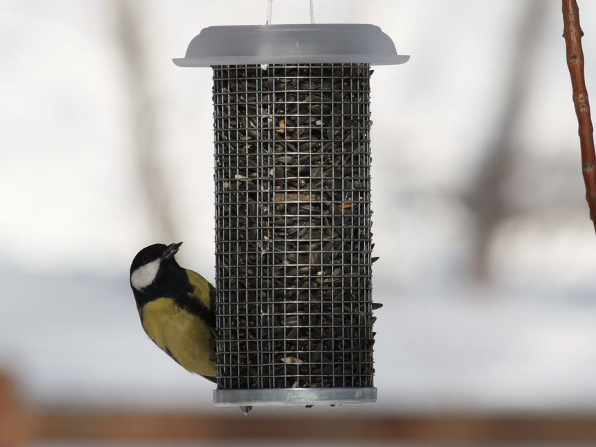 Кормушка для птиц