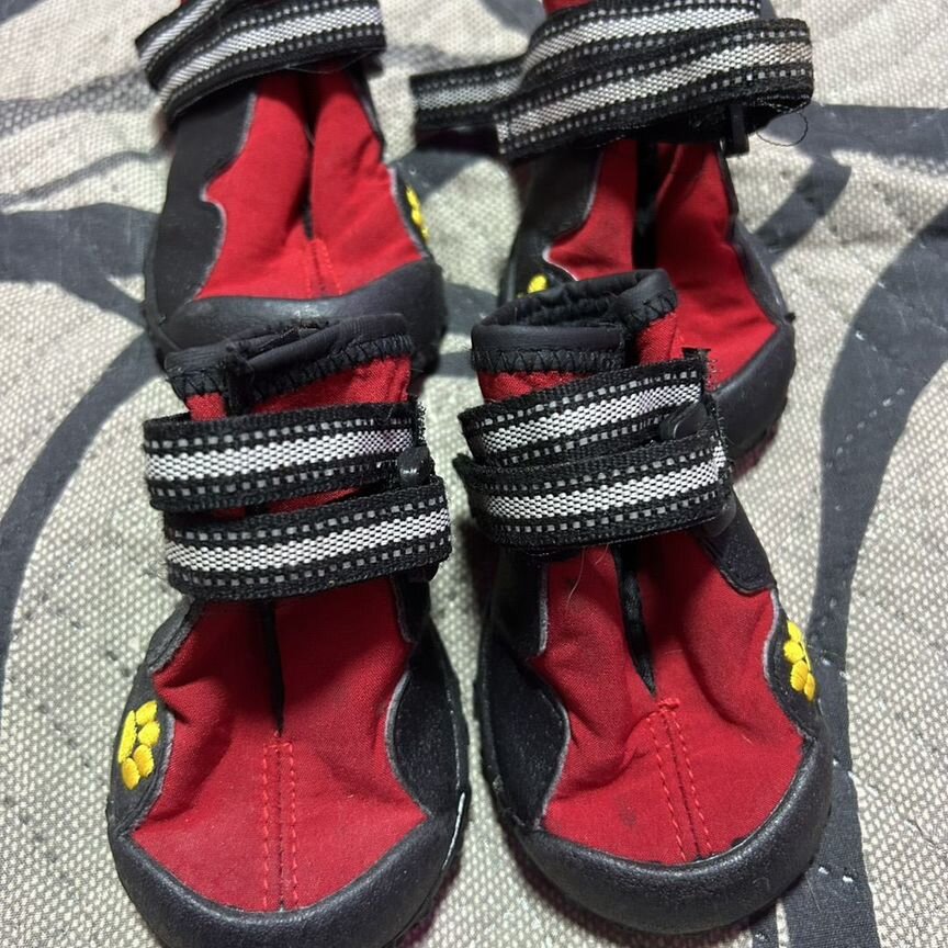 Обувь для собак средних и крупных пород