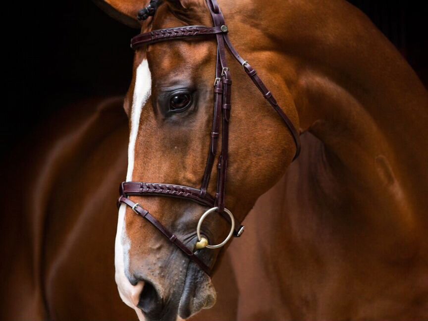 Оголовье кожаное