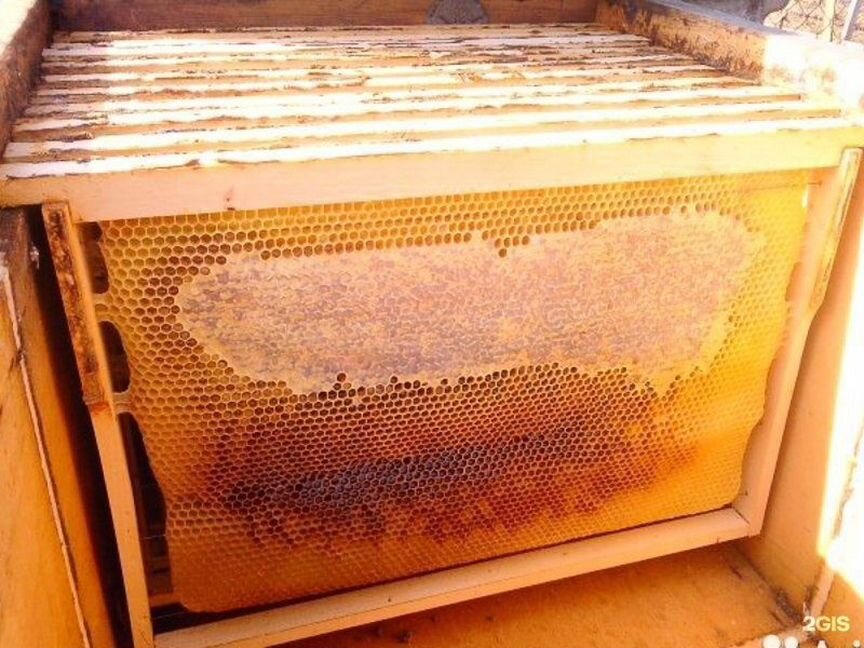 Сушь для пчел