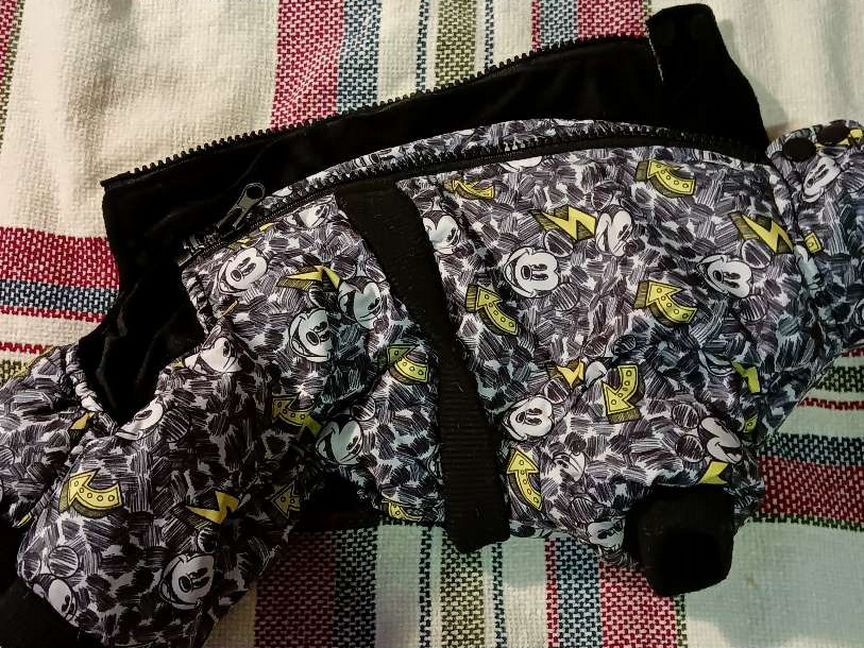 Костюмы осении для собак мальчиков