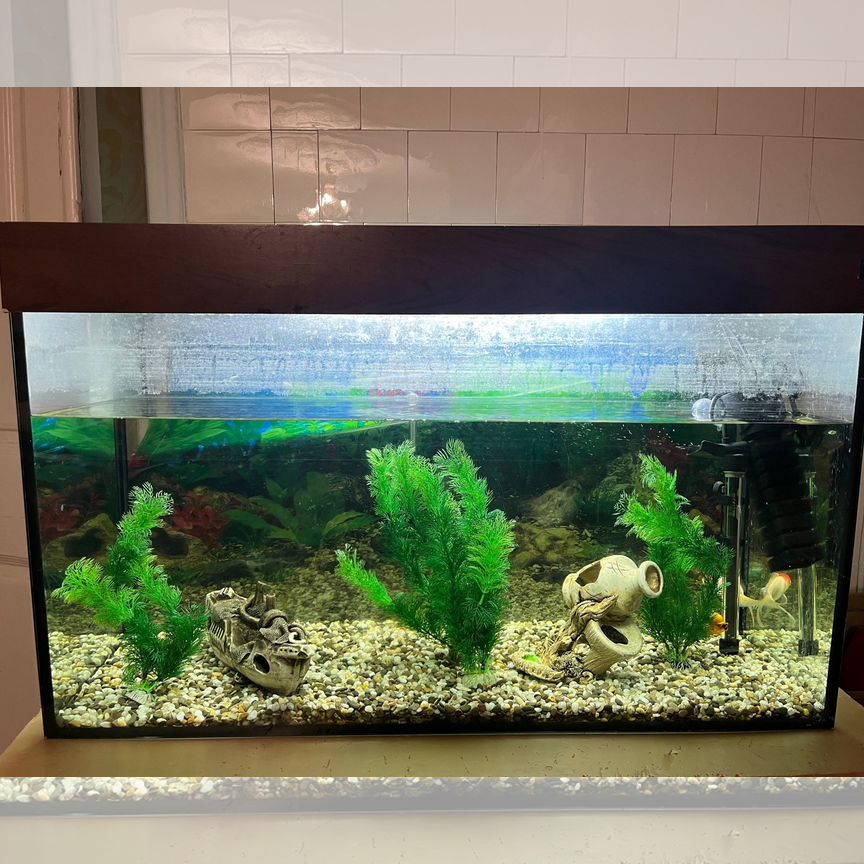 Аквариум на 150 литров