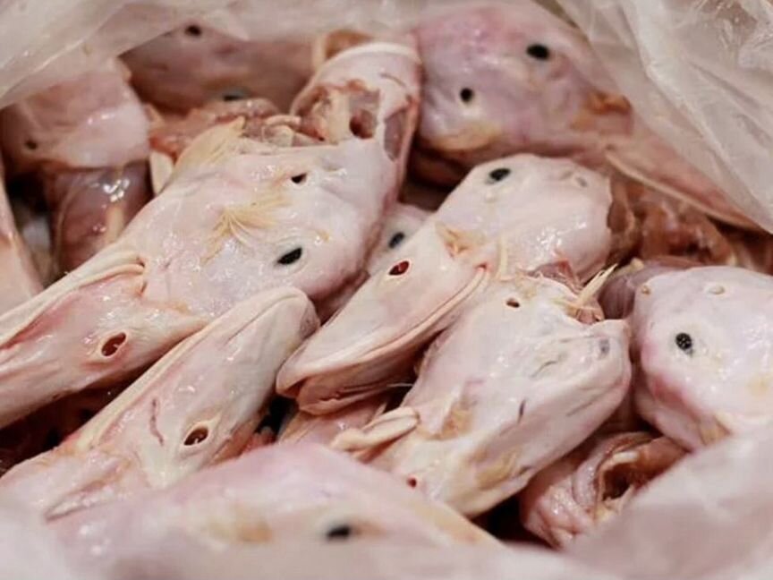 Утиные головы с языком. Есть опт