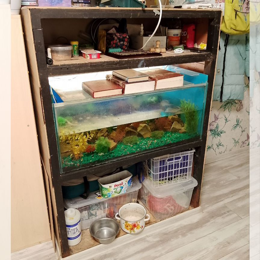 Аквариум с рыбками