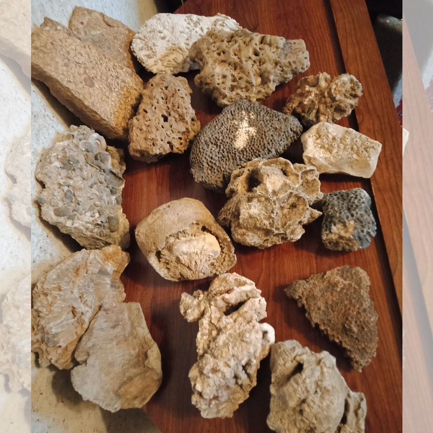 Редкие красивые камни в аквариум