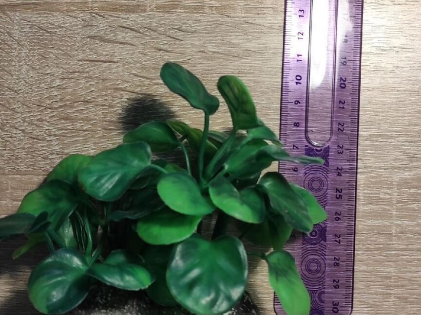 Искусственные растения в аквариум