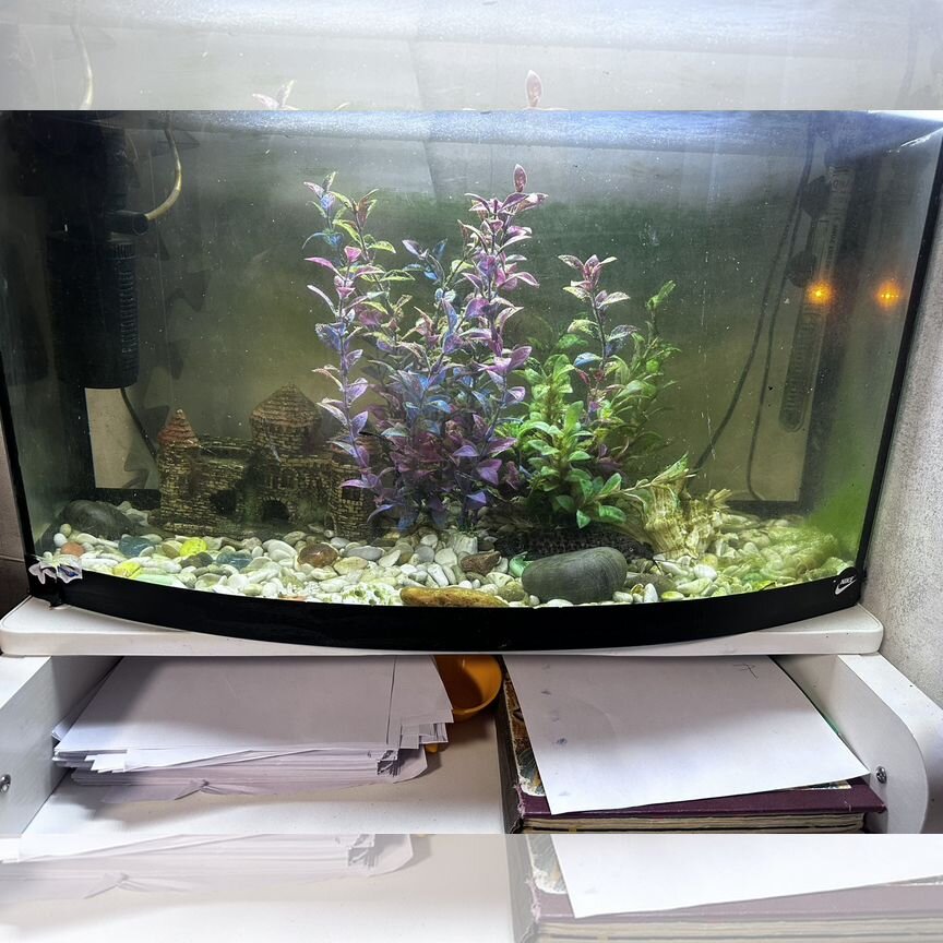 Аквариум 60 литров