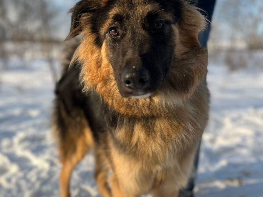 Малыш шкипер