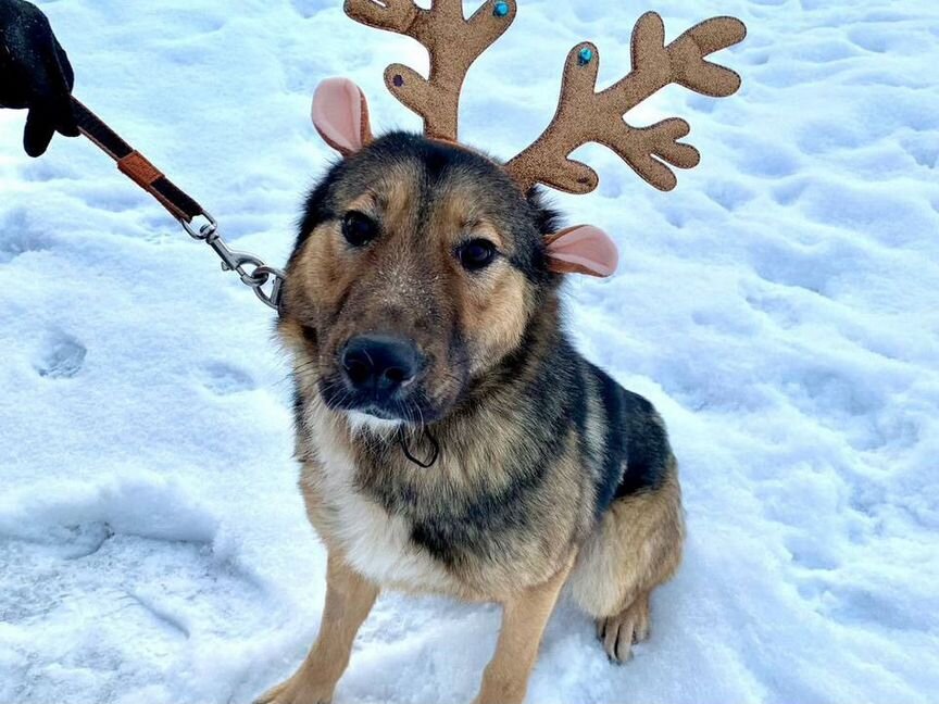 Марфуша совсем одна