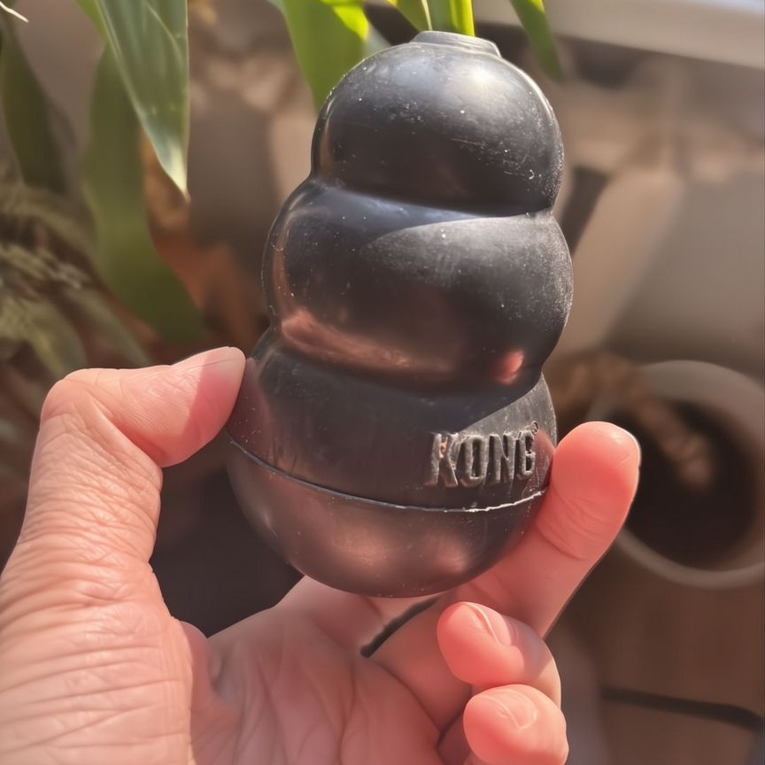 Kong extreme m для средних пород собак