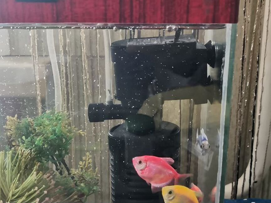 Аквариум с рыбками