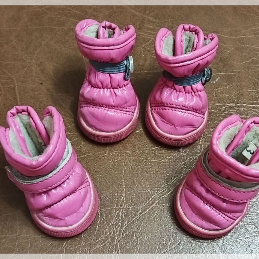 Зимние ботиночки для собаки