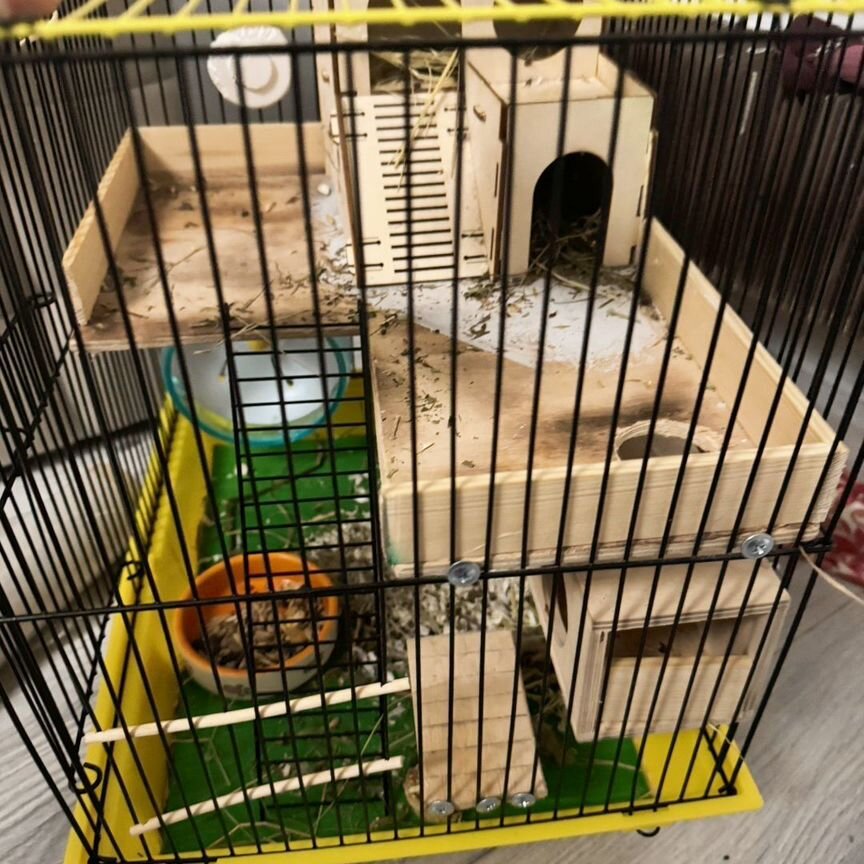 Клетка для грызунов бесплатно