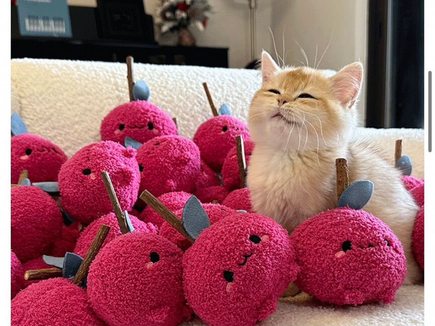 Мягкая игрушка для кота