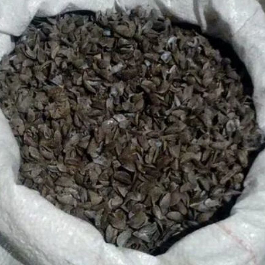 Ракушка кормовая