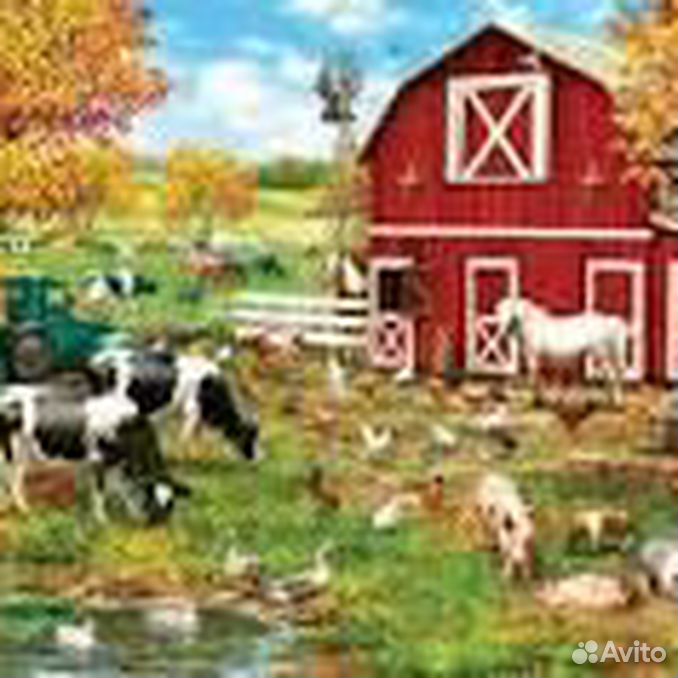 Бычки на откорм