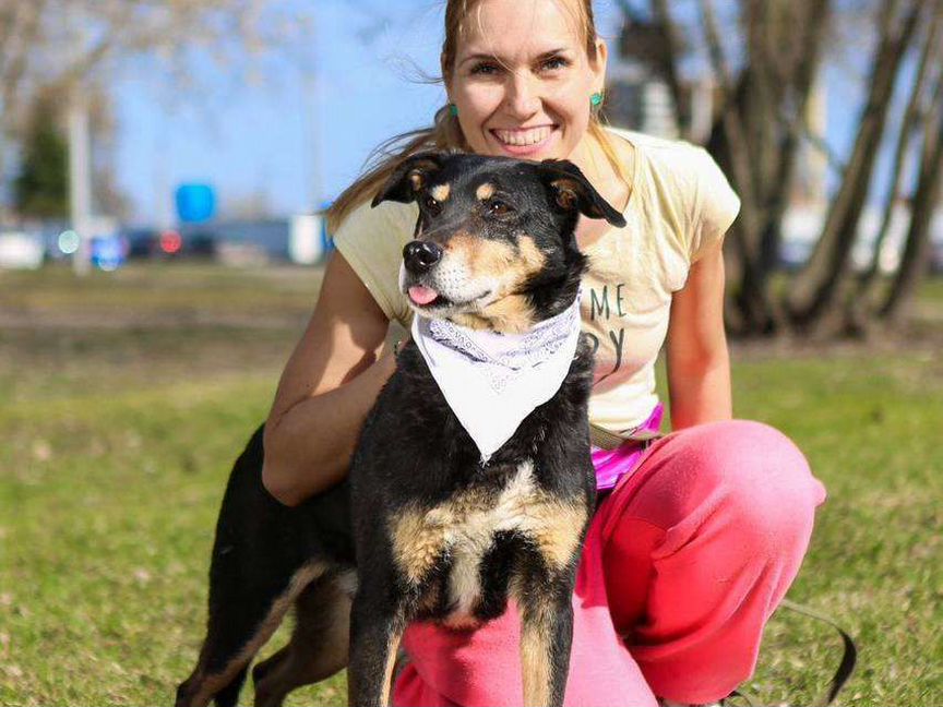 Ласковый Клайд живёт в приюте и мечтает о доме