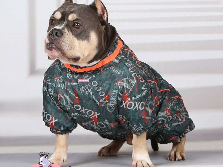 Комбинезон ForMyDogs булли, бульдог мальчик