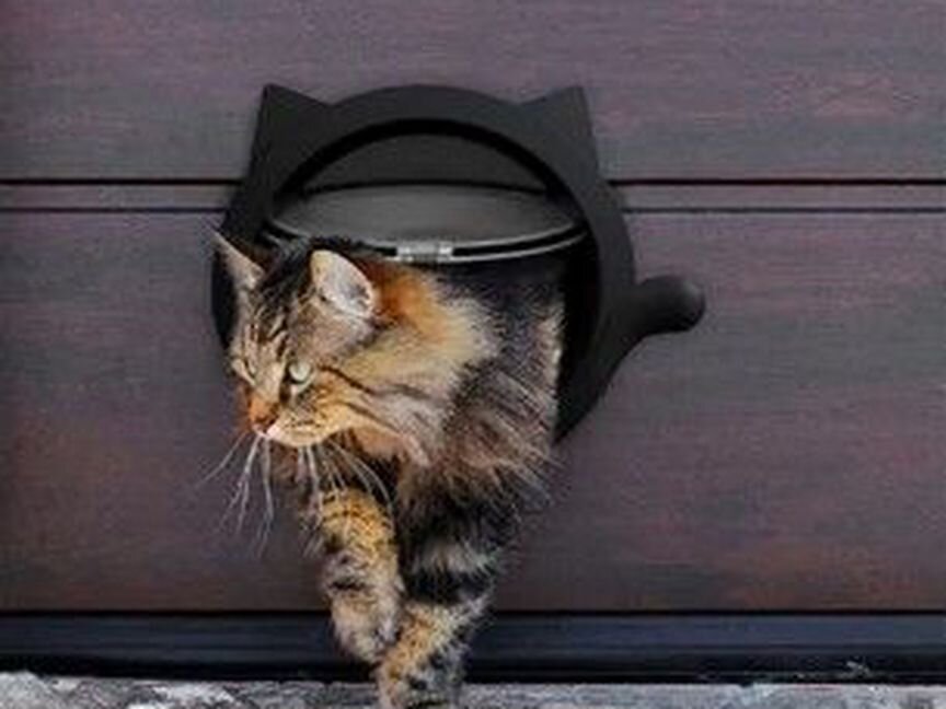 Дверца для кошек