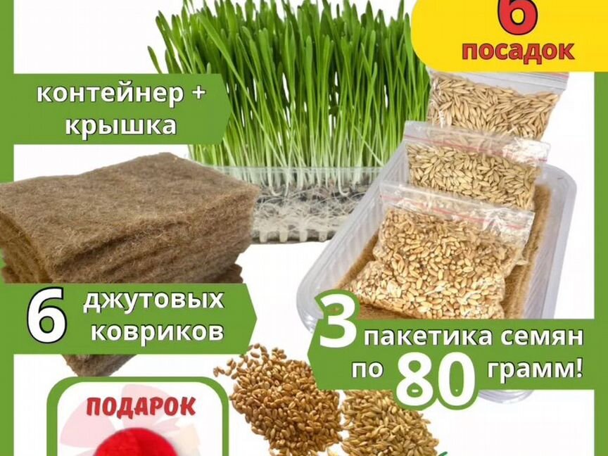 Набор для проращивания для кошек