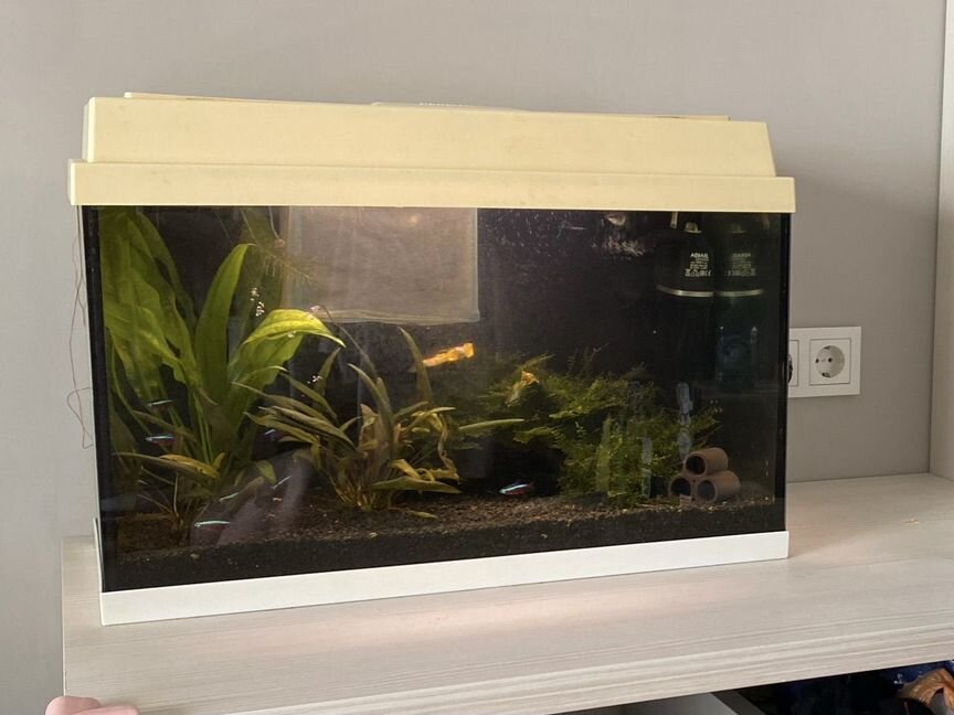 Аквариум 60л