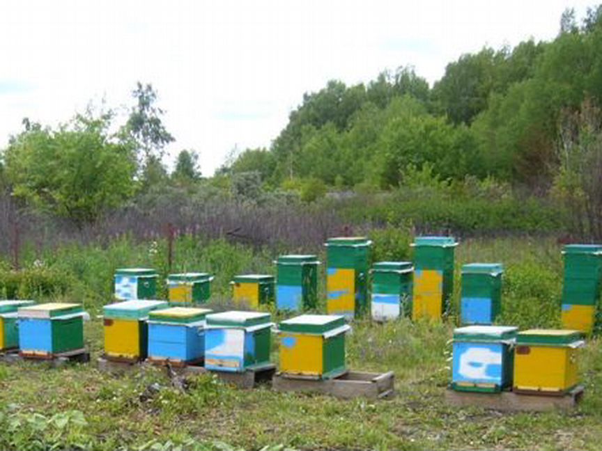 Продаются 8 рамочные ульи
