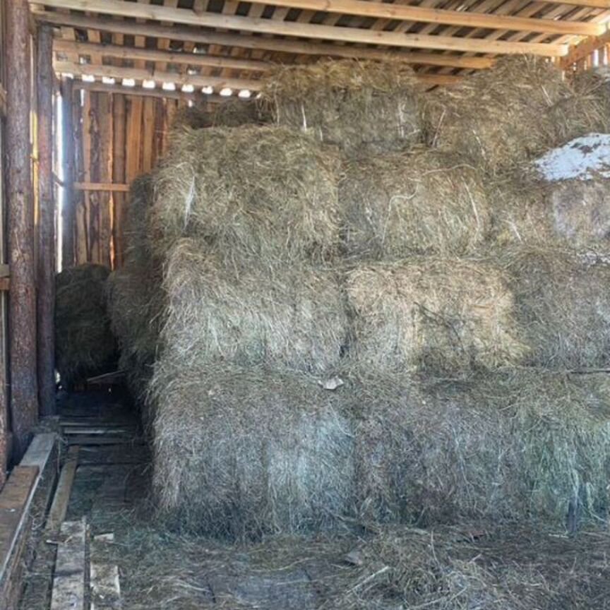 Сено в тюках